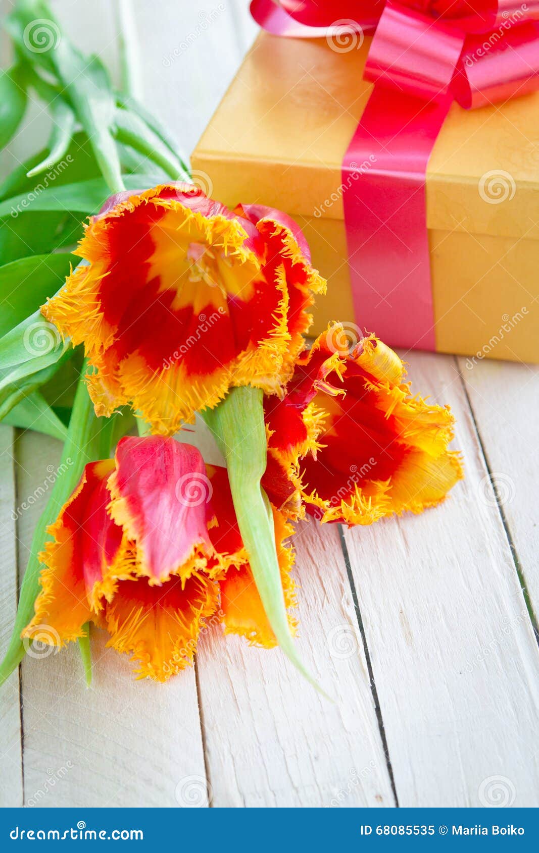 Tulips and gift in a box stock image. Image of green - 68085535