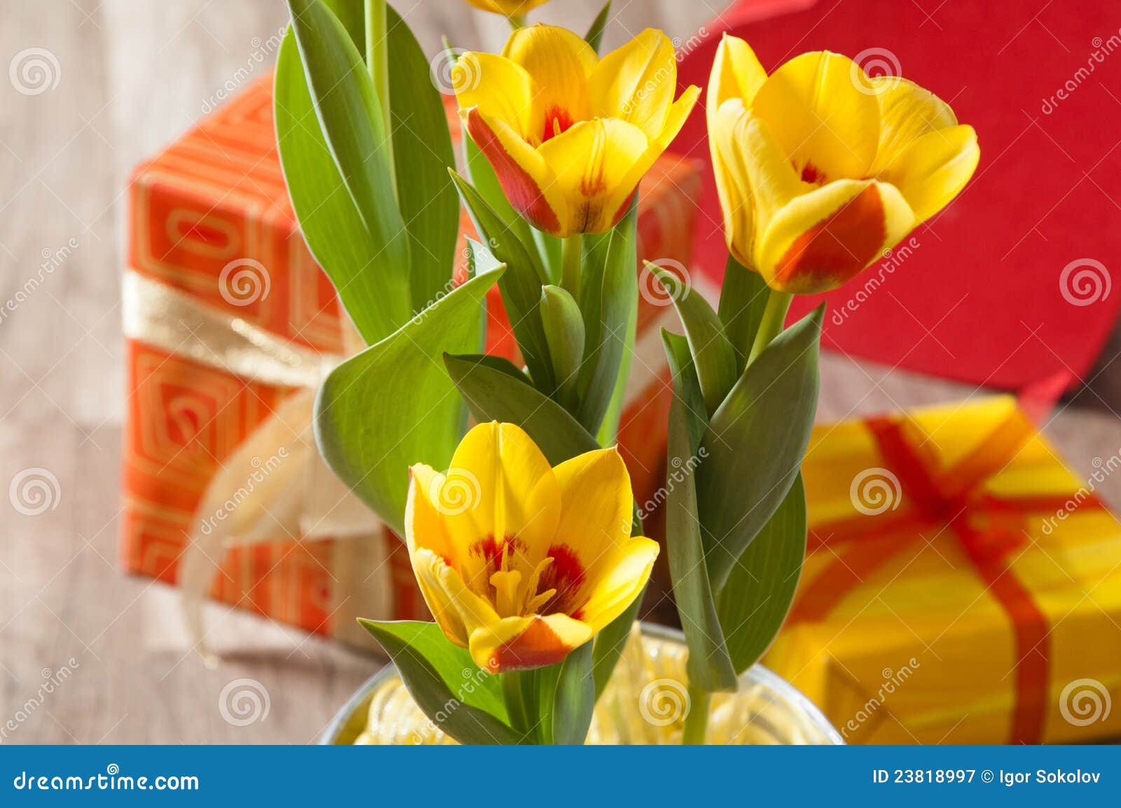 Tulips and gift boxes stock image. Image of bouquet, colors - 23818997