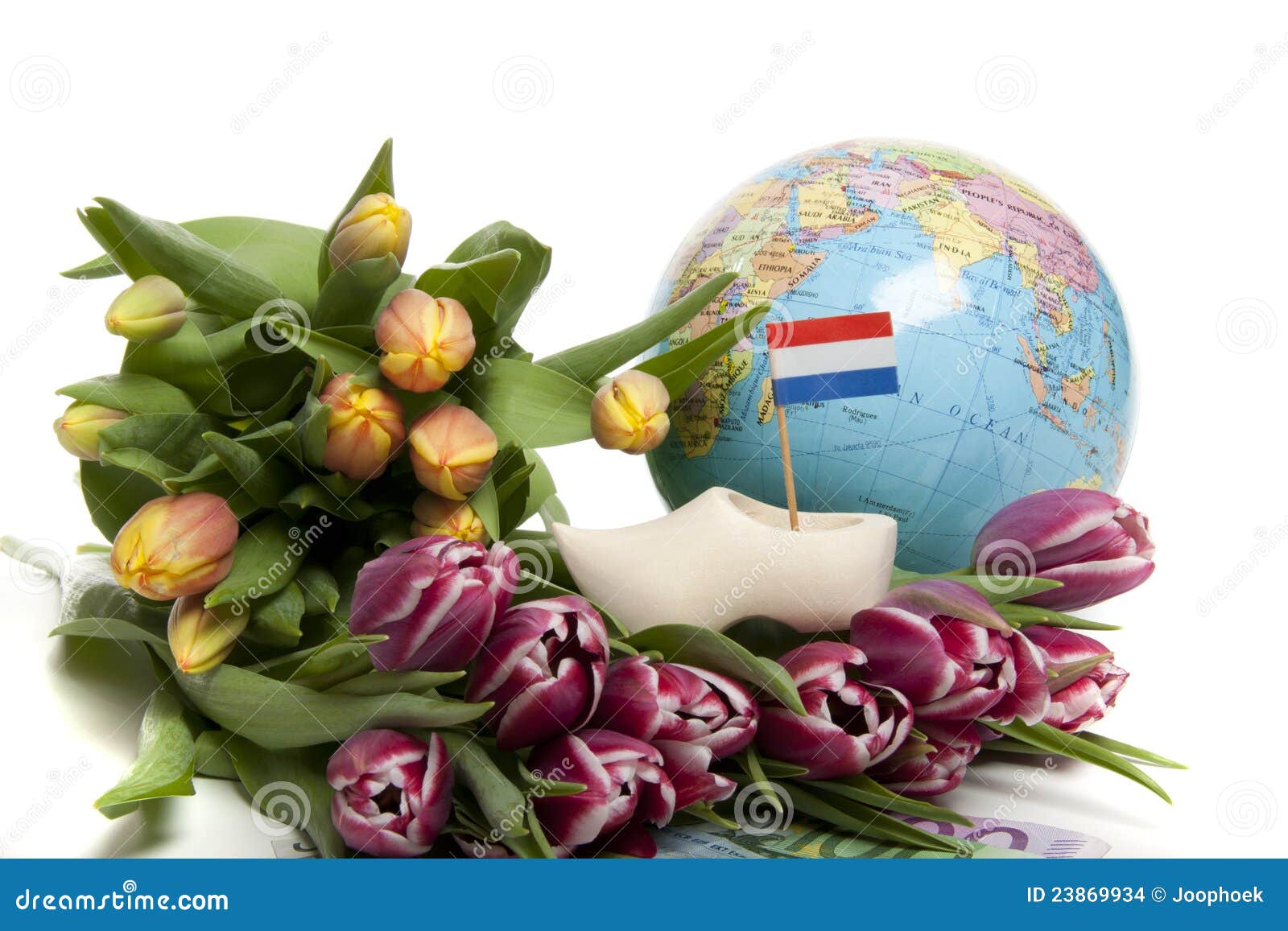 Tulips from Holland stock photo. Image of plant, export - 23869934