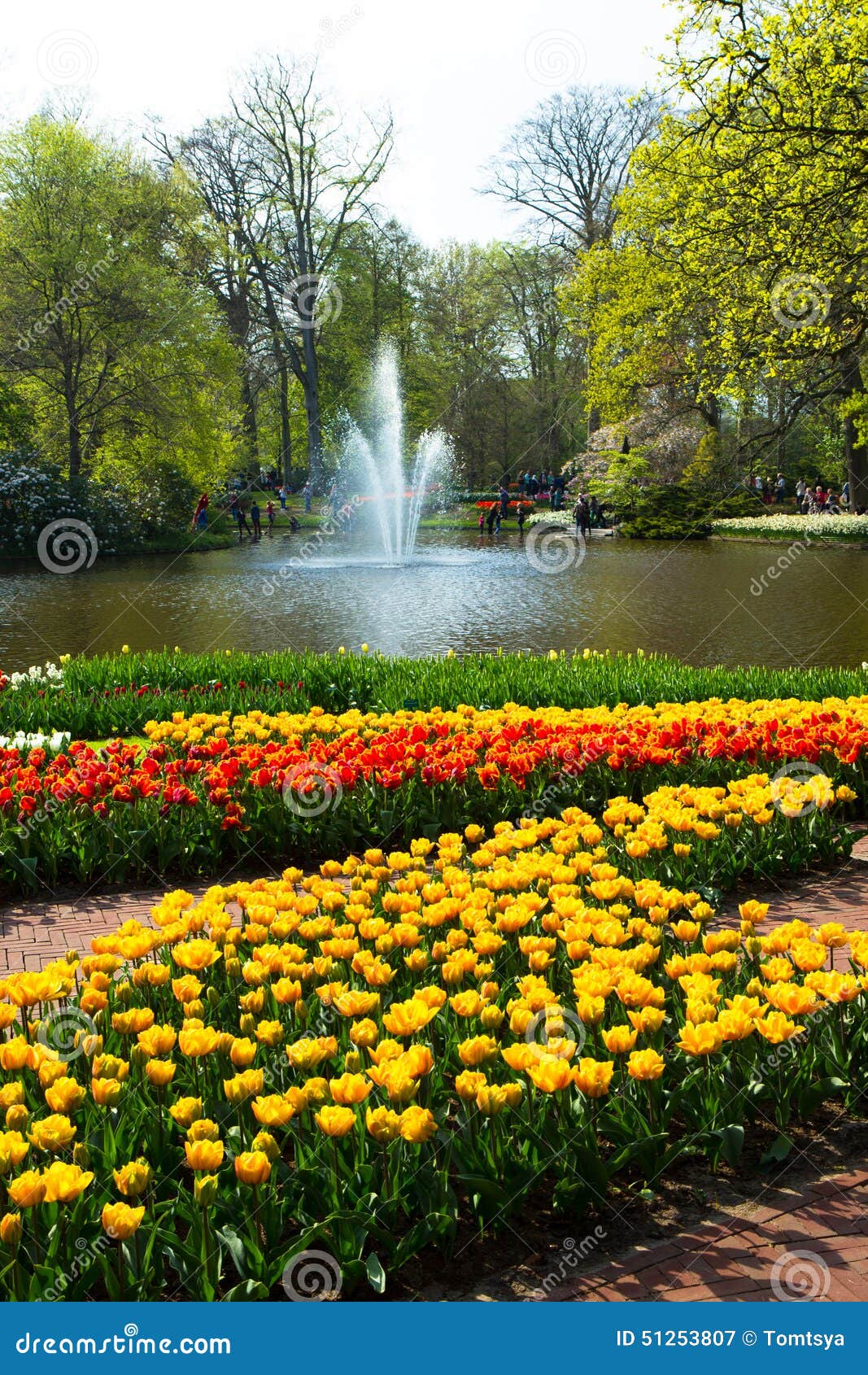 Tulips in Keukenhof park stock image. Image of blooming - 51253807