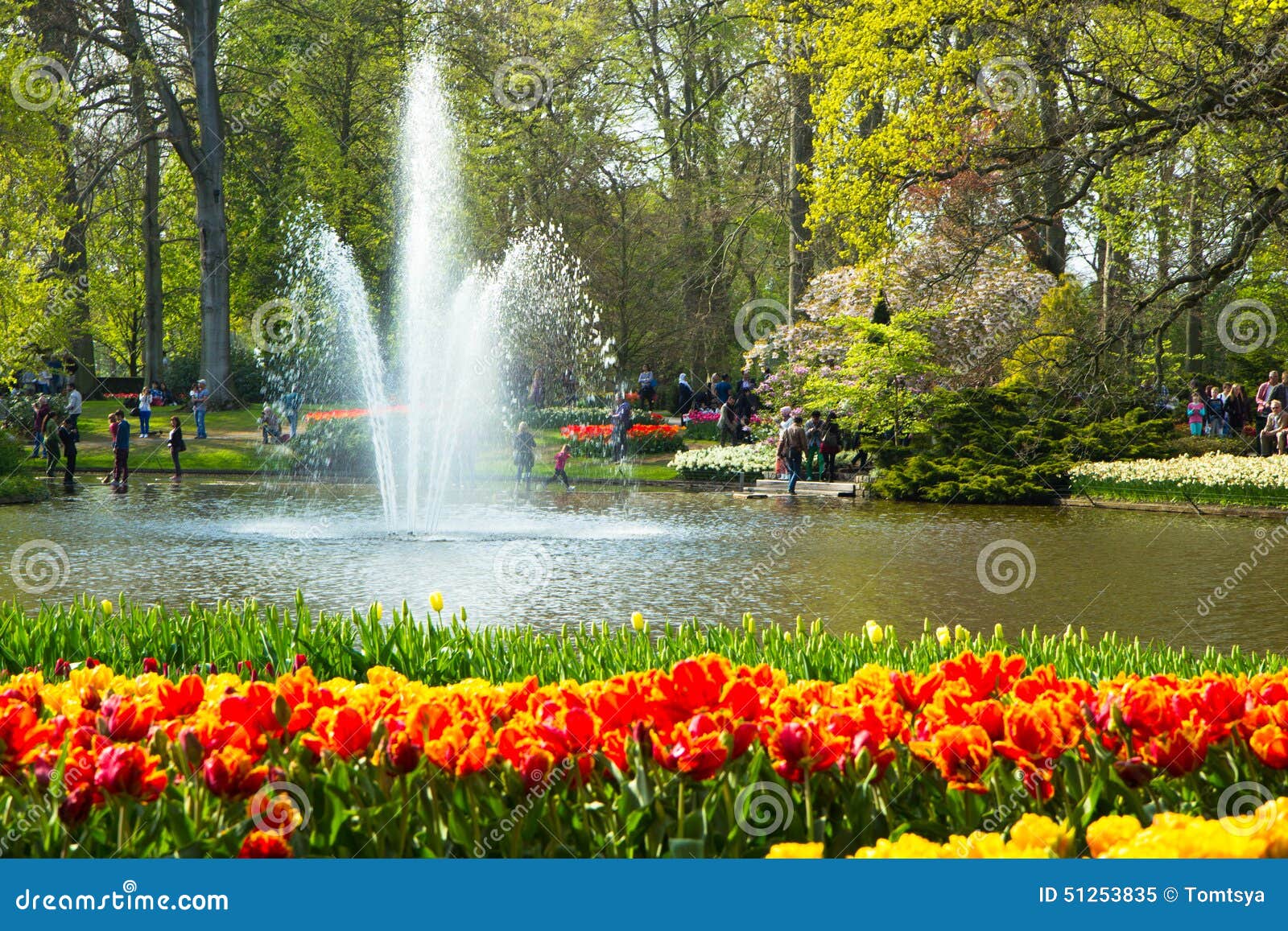 Tulips in Keukenhof park editorial image. Image of bulb - 51253835