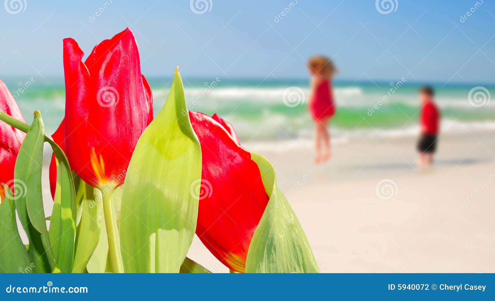 Tulips and kids on beach stock photo. Image of girl, ocean - 5940072