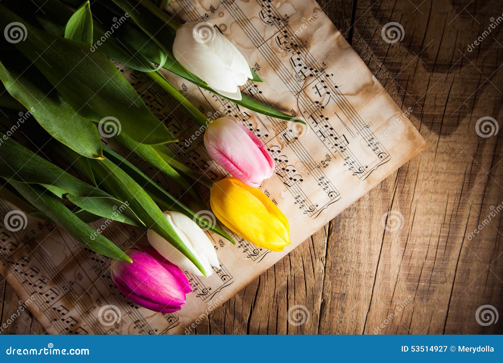 Notes On Paper. Old Music Sheet. Melody On Page. Notes And Lines. Music ...