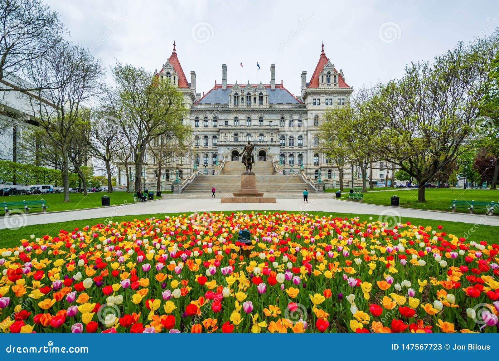 Tulips and the New York State Capitol, in Albany, New York Editorial ...