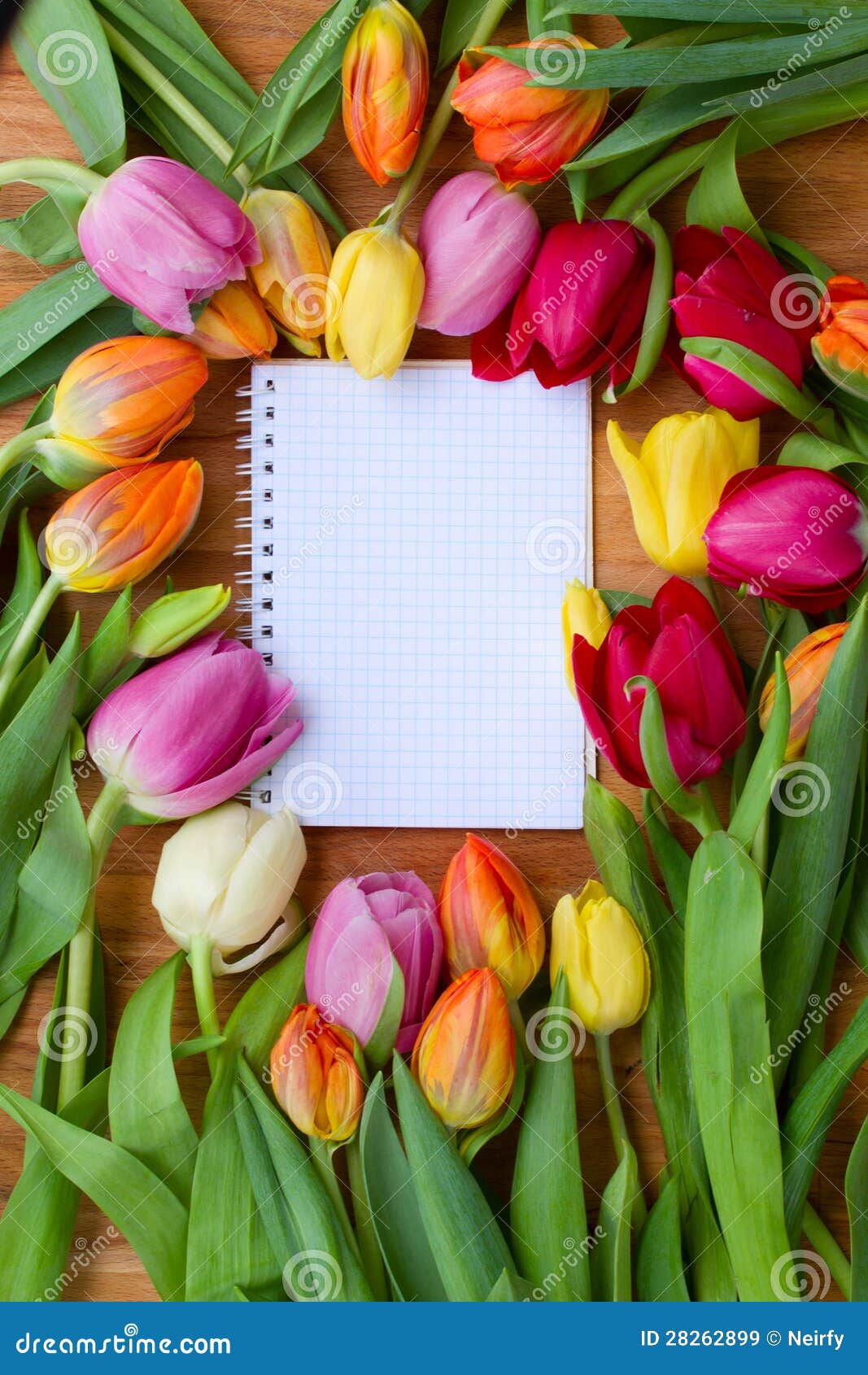 Tulips with notebook stock image. Image of march, bouquet - 28262899