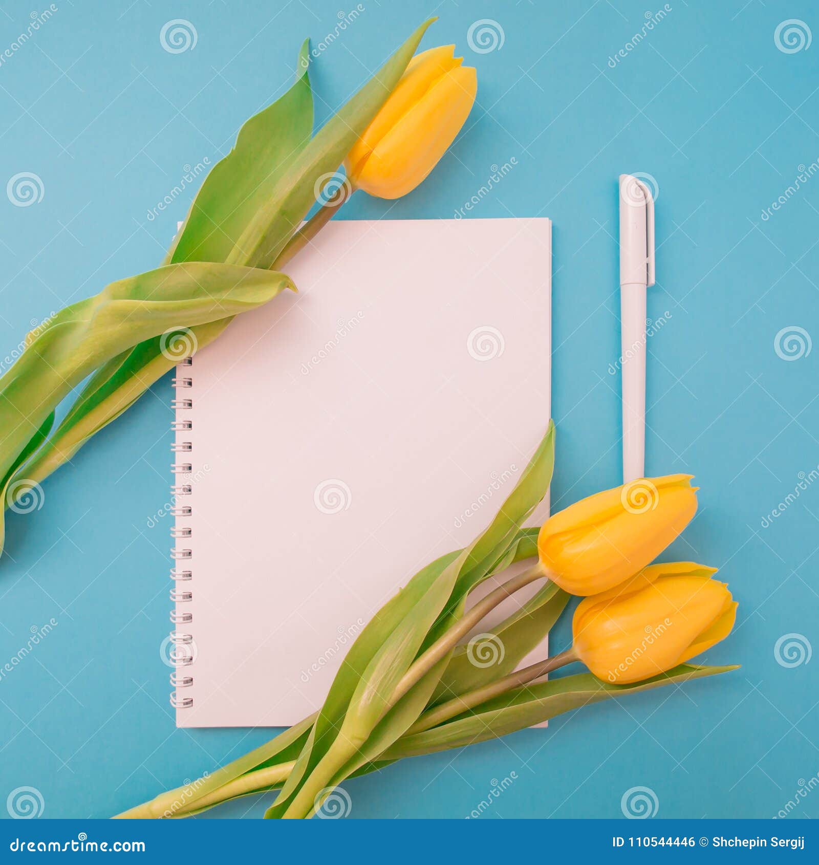 Tulips on a notebook stock photo. Image of tulip, spring - 110544446