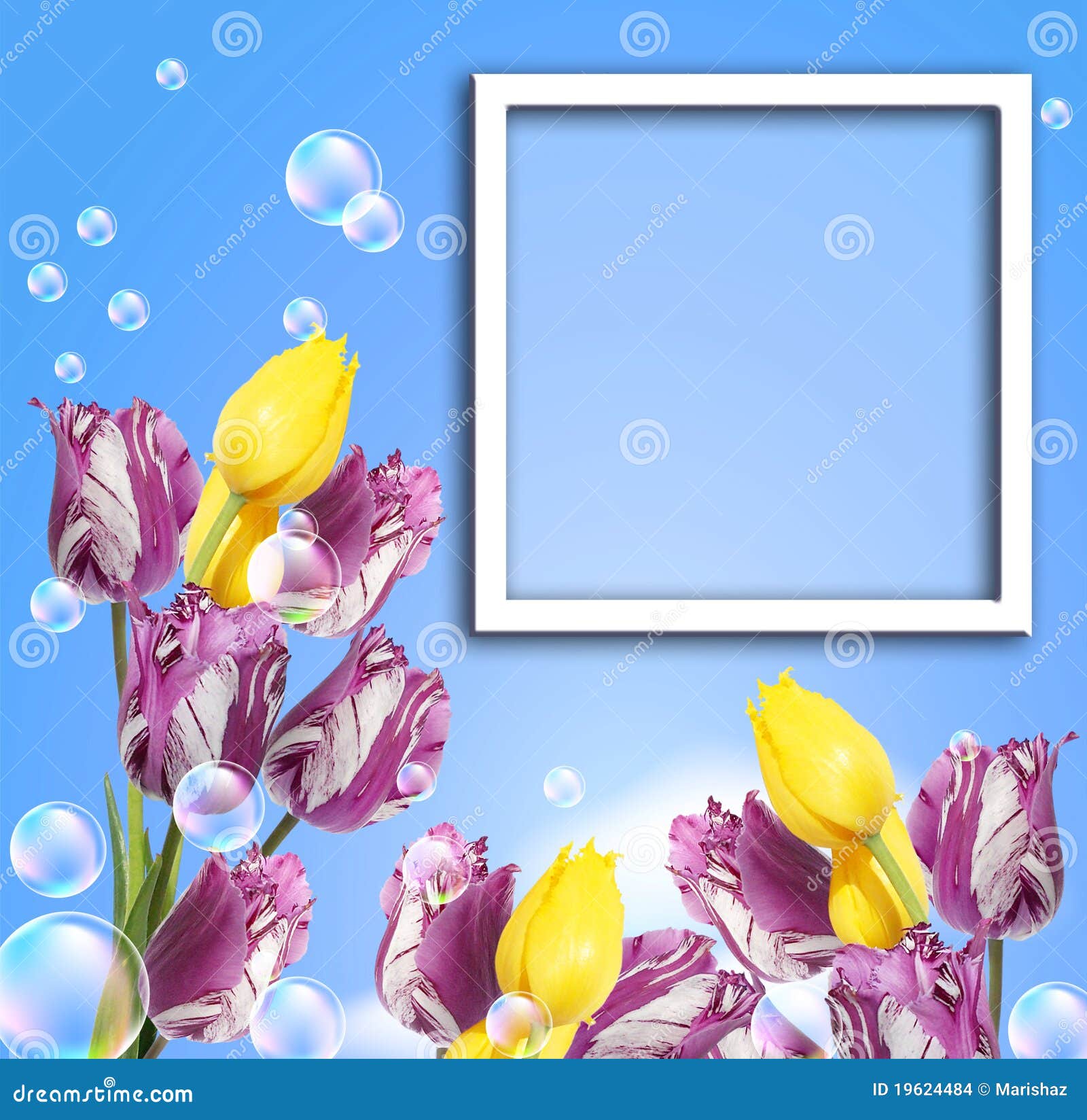 Tulips and photo frame stock illustration. Illustration of bloom - 19624484