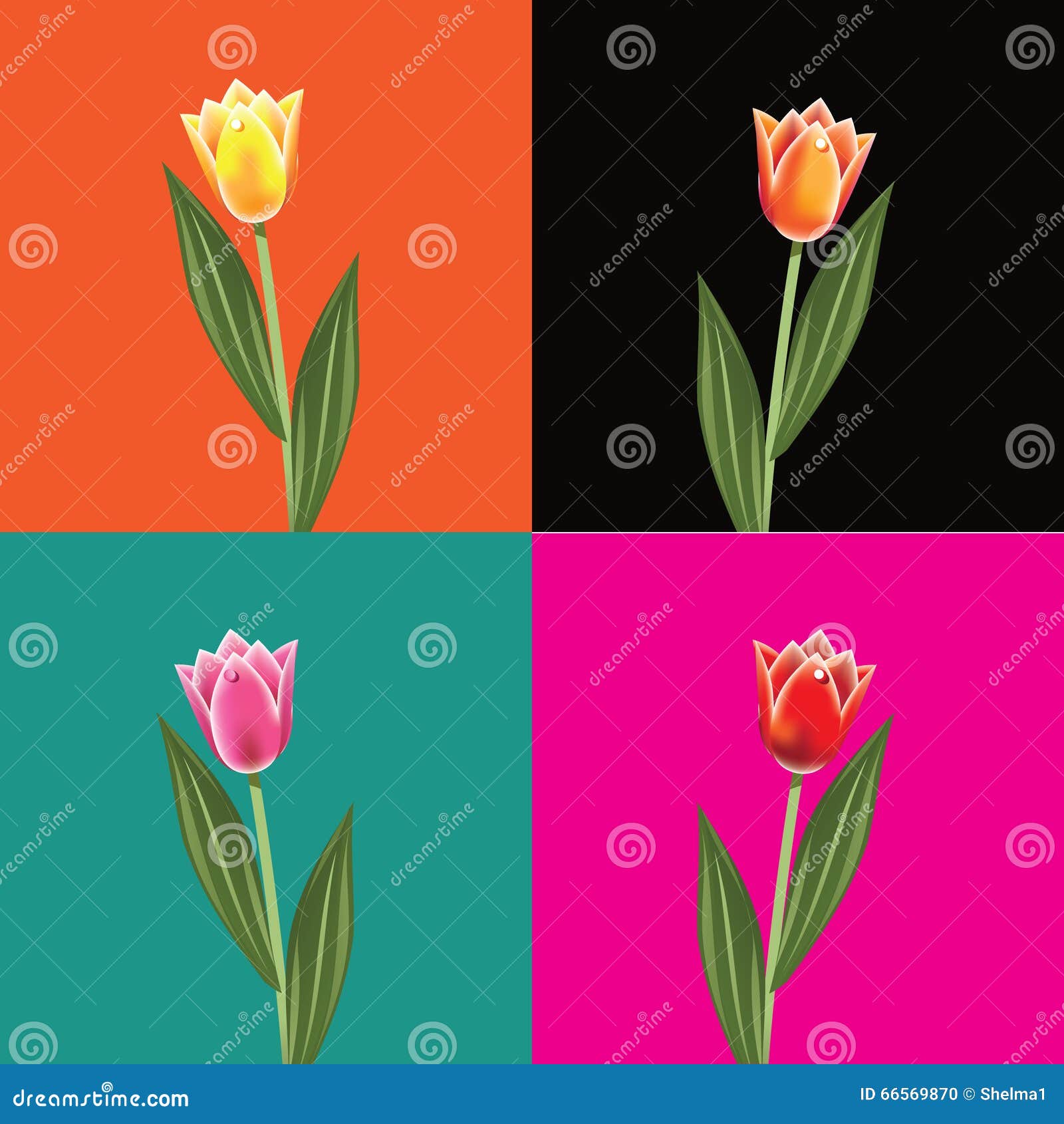 Tulips in pop art style stock vector. Illustration of beautiful - 66569870