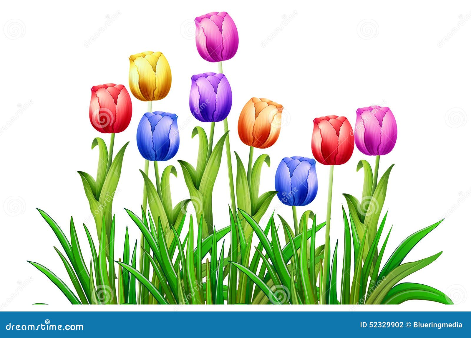 Tulips stock vector. Illustration of cartoon, backdrop - 52329902