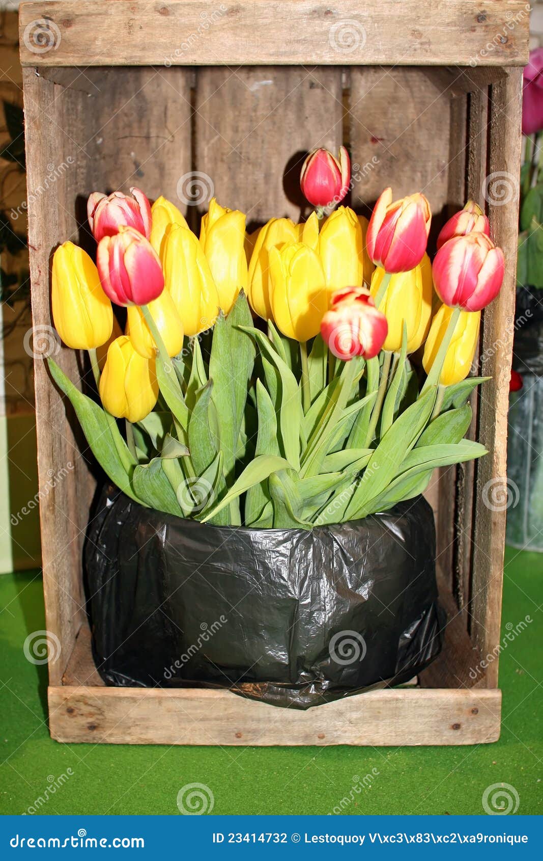 Tulips on sales booth stock photo. Image of grower, area - 23414732