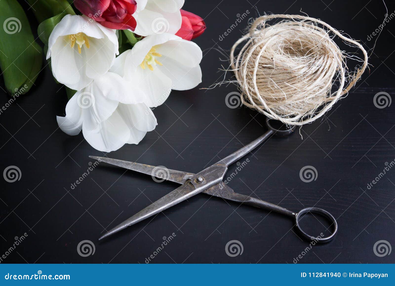 Tulips, Scissors and Rope on Black Background Stock Photo - Image of ...