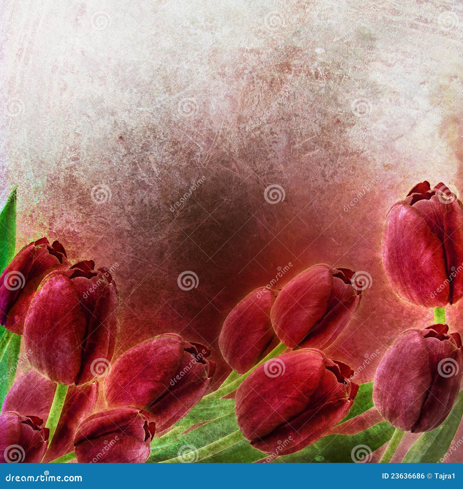 Tulips Spring Border Design Stock Photo - Image of border, bunch: 23636686
