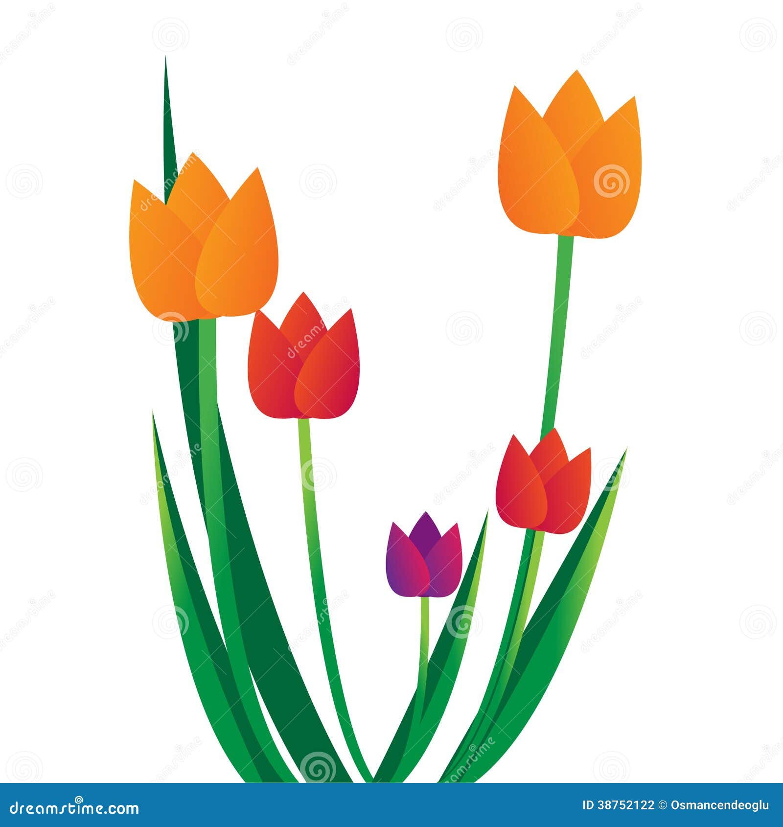 Tulips stock illustration. Illustration of leaf, horizontal - 38752122