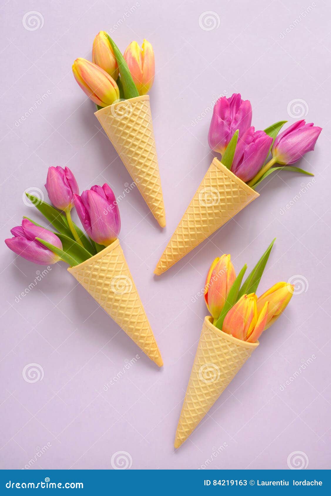 Tulips in Wafer Ice Cream Cone Stock Image - Image of gift, blooming ...