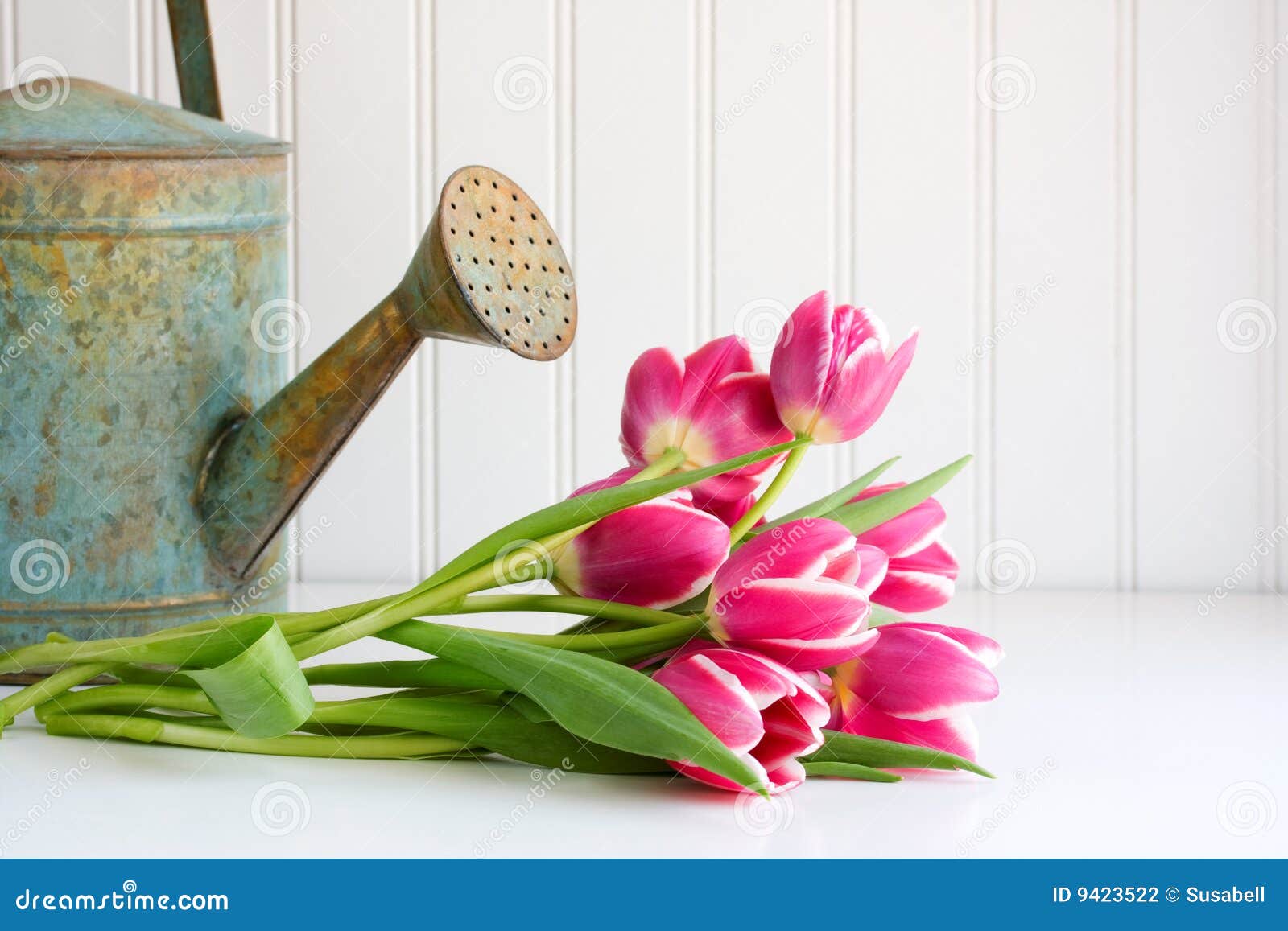 Tulips and watering can stock photo. Image of bunch, spring - 9423522
