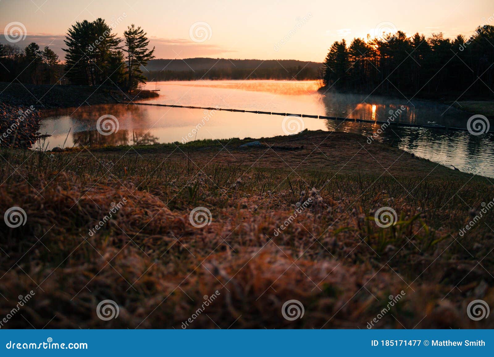 Tully Dam at Dawn stock image. Image of trees, view - 185171477