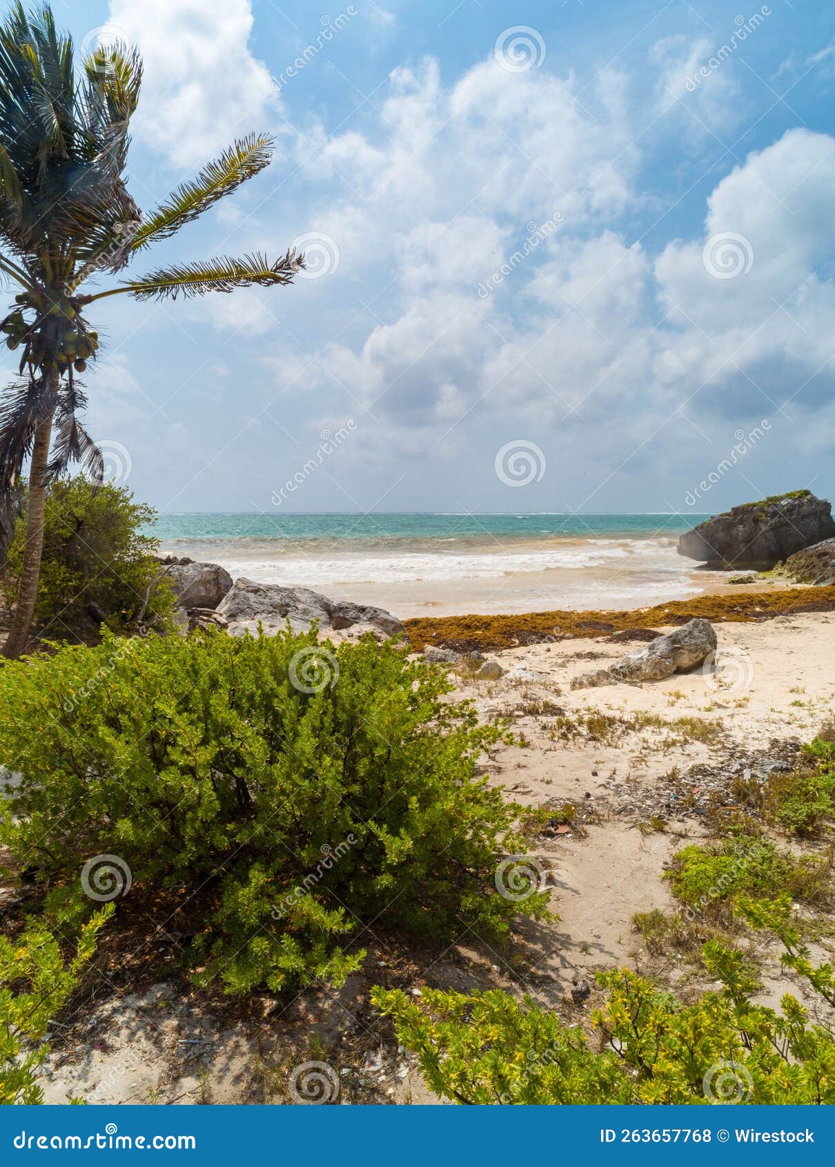 Tulum beach ocean view 2 stock photo. Image of tourism - 263657768