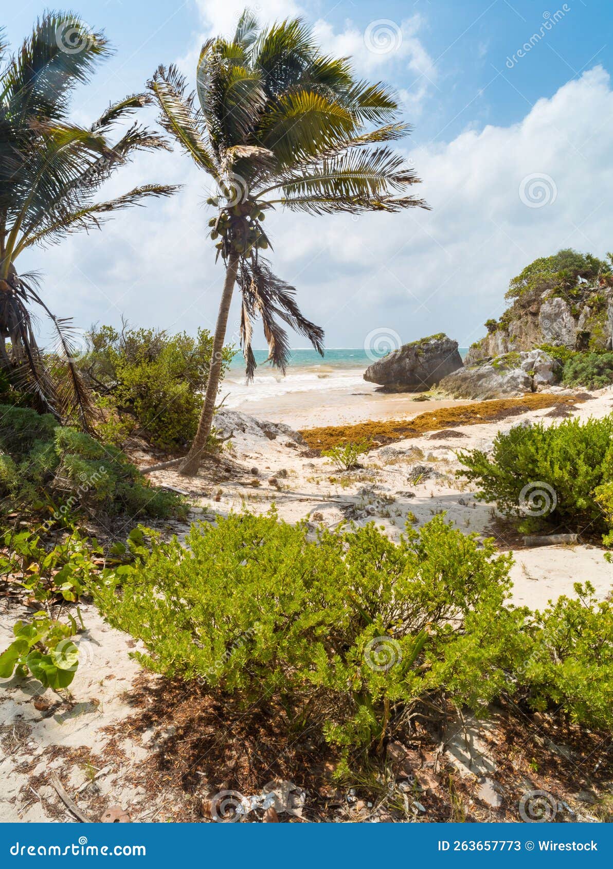 Tulum beach ocean view 4 stock image. Image of travel - 263657773