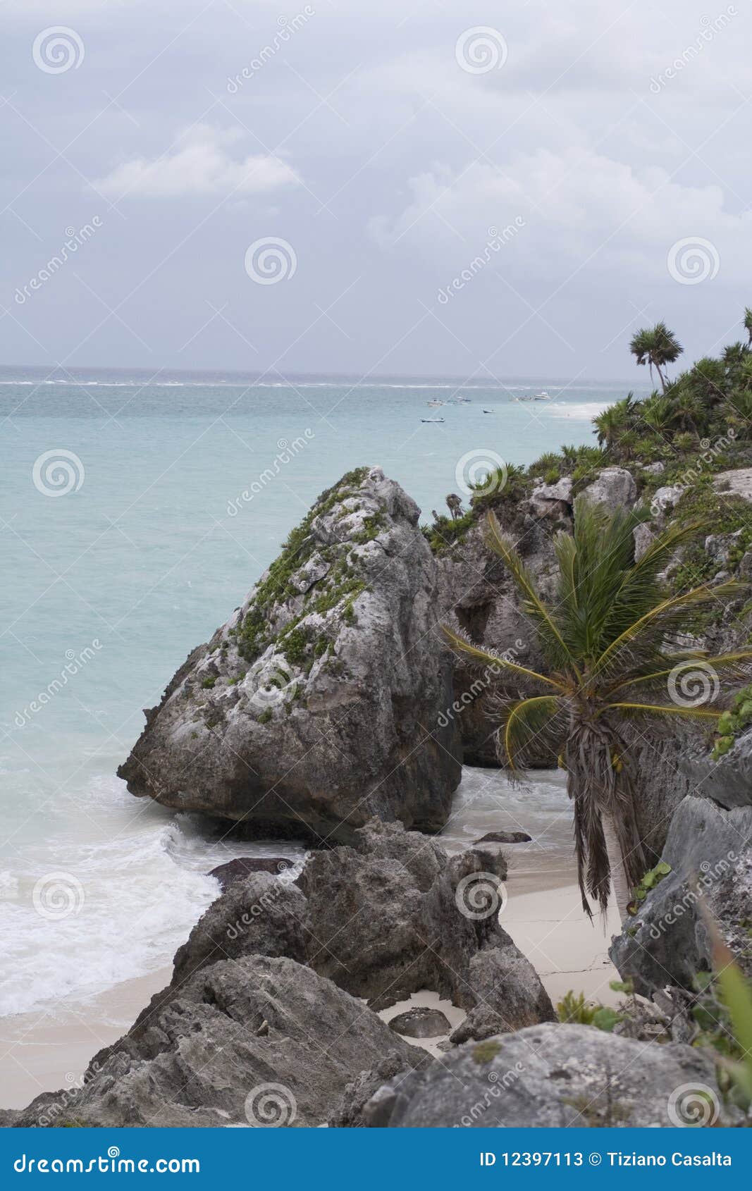 Tulum Caribbean Sea stock image. Image of beauty, palm - 12397113