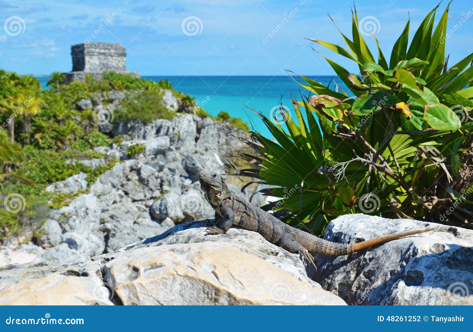 Tulum Maya ruins, Mexico stock photo. Image of heritage - 48261252