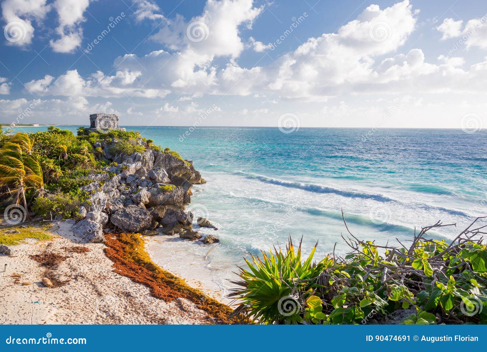 Tulum, Mexico. Turtle Beach. Stock Image - Image of blue, city: 90474691