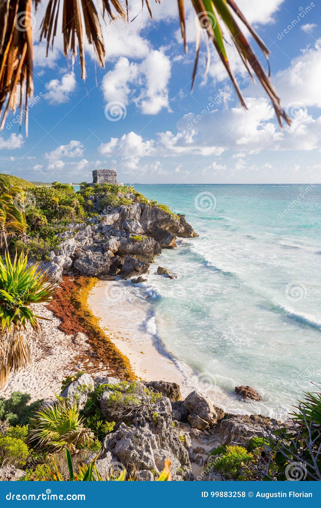 Tulum, Mexico. Turtle Beach. Stock Photo - Image of temple, riviera ...