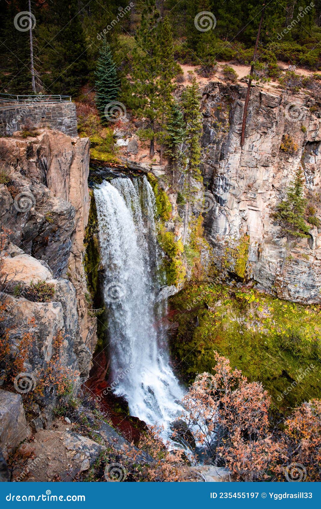 Tumalo Falls As Seen from the Platform Stock Image - Image of forest ...