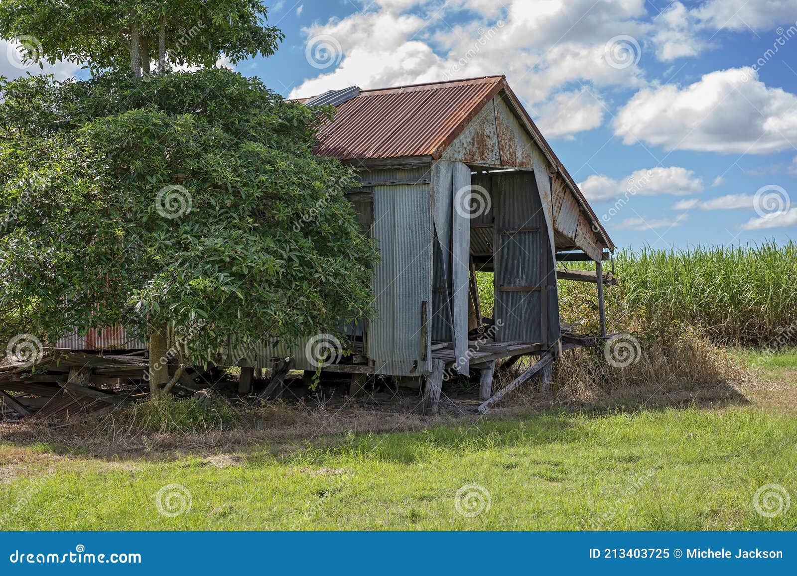 Tumble Down Old Shack stock image. Image of rural, iron - 213403725