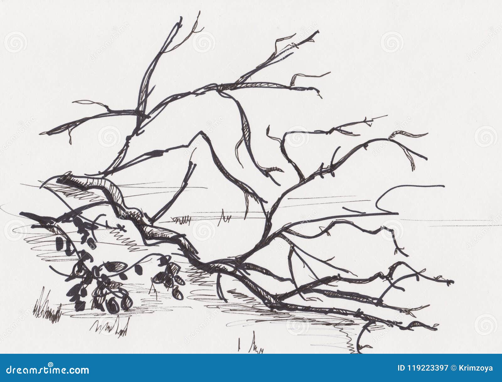 Tumbled down tree stock illustration. Illustration of nature - 119223397