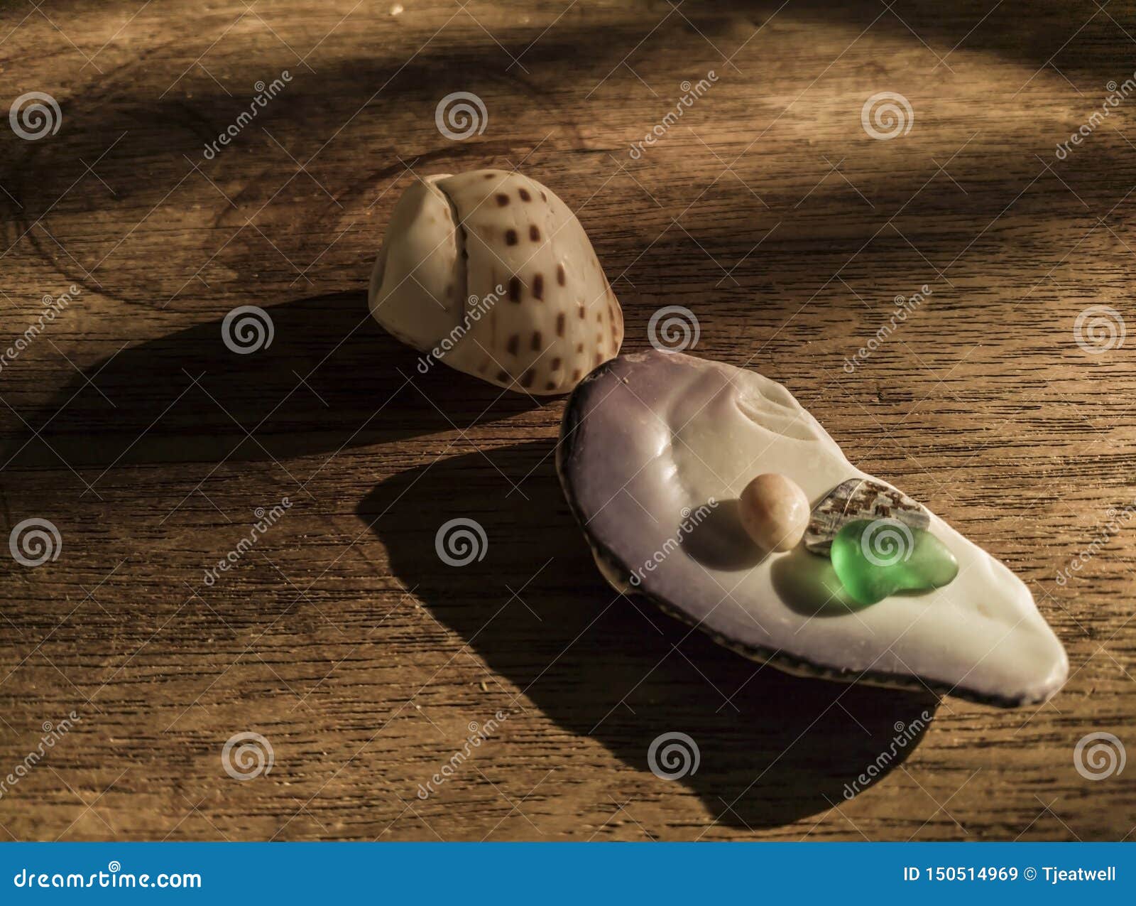 Tumbled Glass Placed with Shells Stock Image - Image of broken, scrap ...