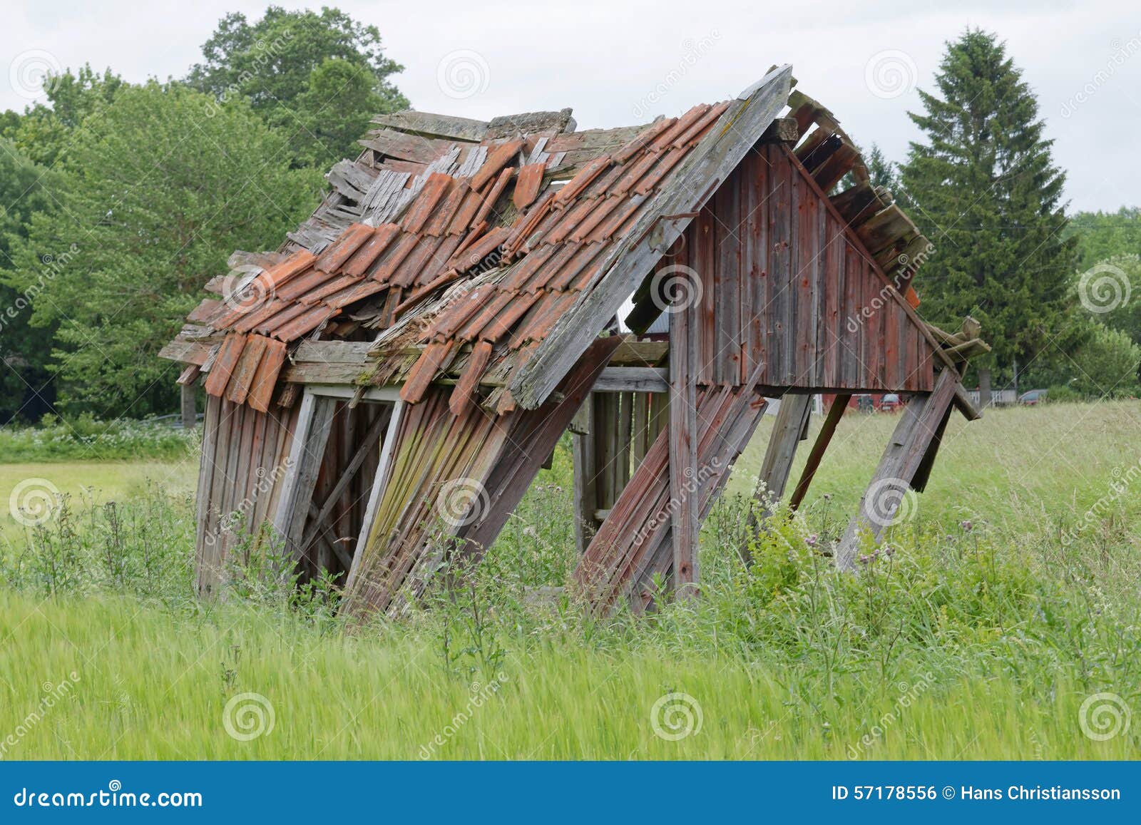 Tumbledown barn on a field stock photo. Image of miserable - 57178556