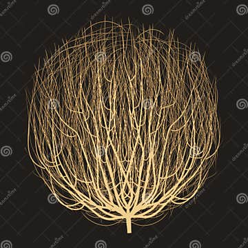 Tumbleweed drawing vector stock vector. Illustration of decorative ...