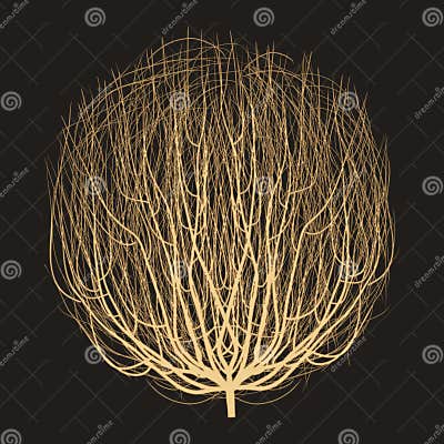 Tumbleweed drawing vector stock vector. Illustration of decorative ...