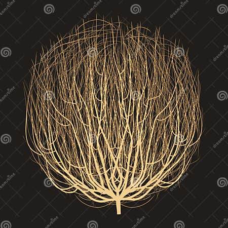 Tumbleweed drawing vector stock vector. Illustration of decorative ...