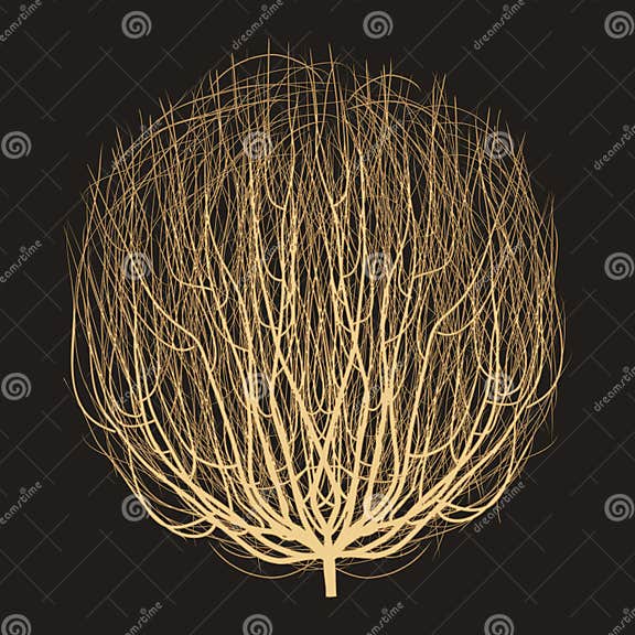 Tumbleweed drawing vector stock vector. Illustration of decorative ...
