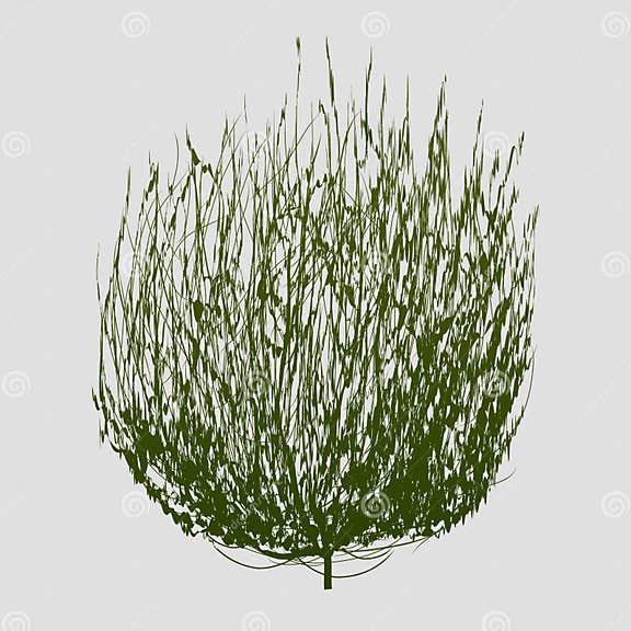 Tumbleweed drawing vector stock vector. Illustration of green - 59476187
