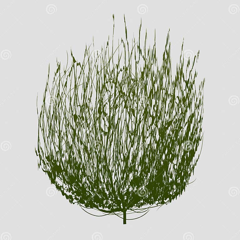 Tumbleweed drawing vector stock vector. Illustration of green - 59476187