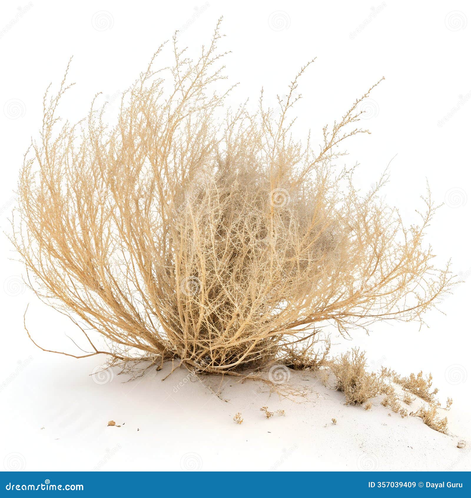 Tumbleweed Isolated on White Background Stock Illustration ...