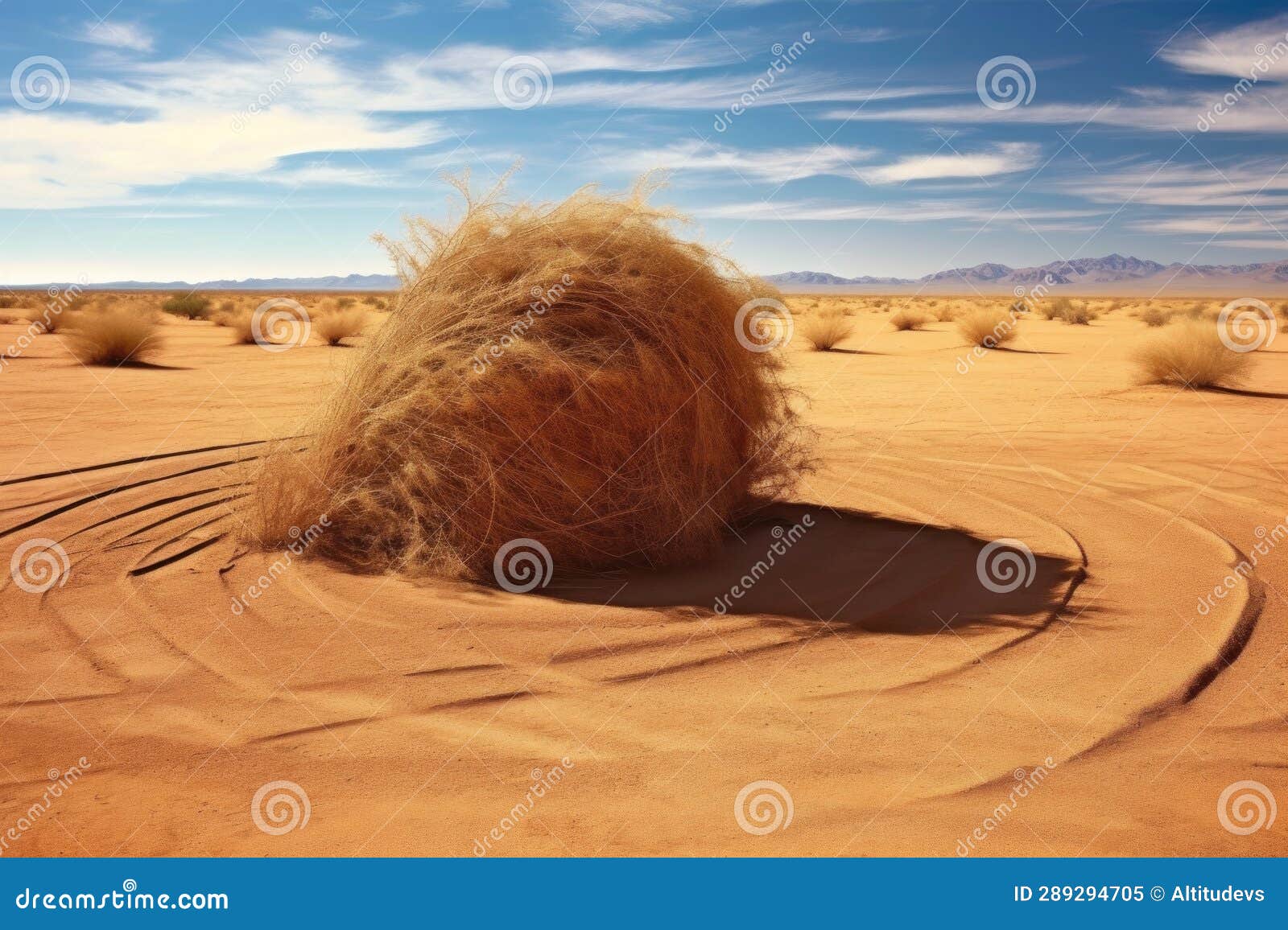 Tumbleweed Rolling Over Cracked, Dry Desert Soil Stock Image - Image of ...
