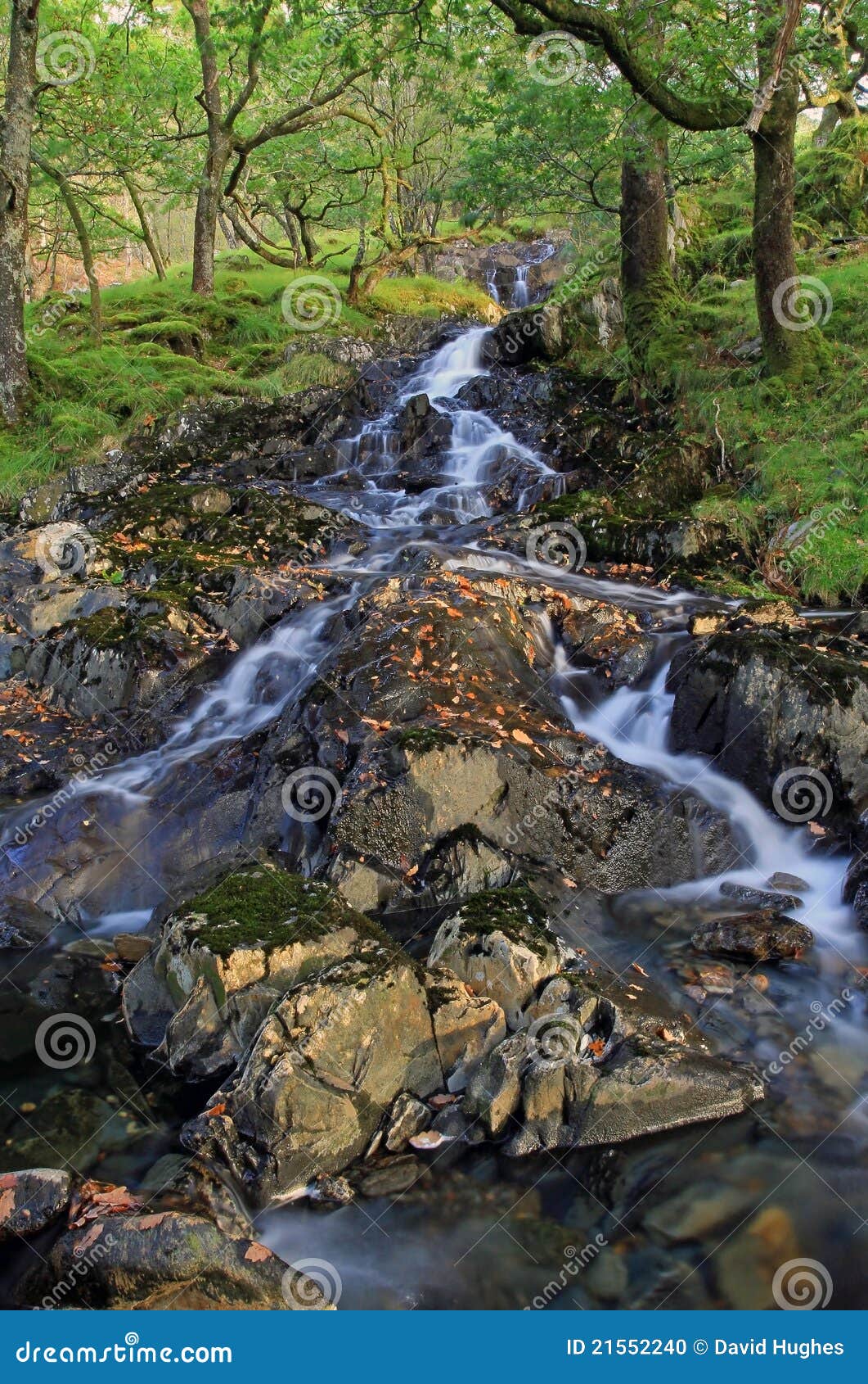 Tumbling Mountain Stream, Hafod-y-llan Stock Photo - Image of path ...