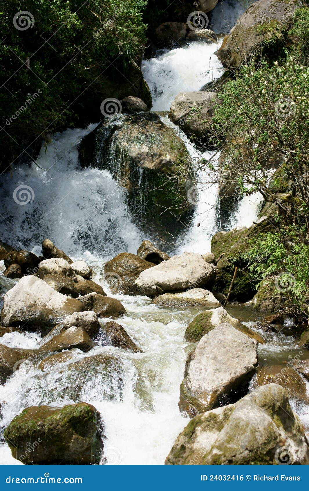Tumbling Waterfall in Ecuador Stock Photo - Image of plant, green: 24032416