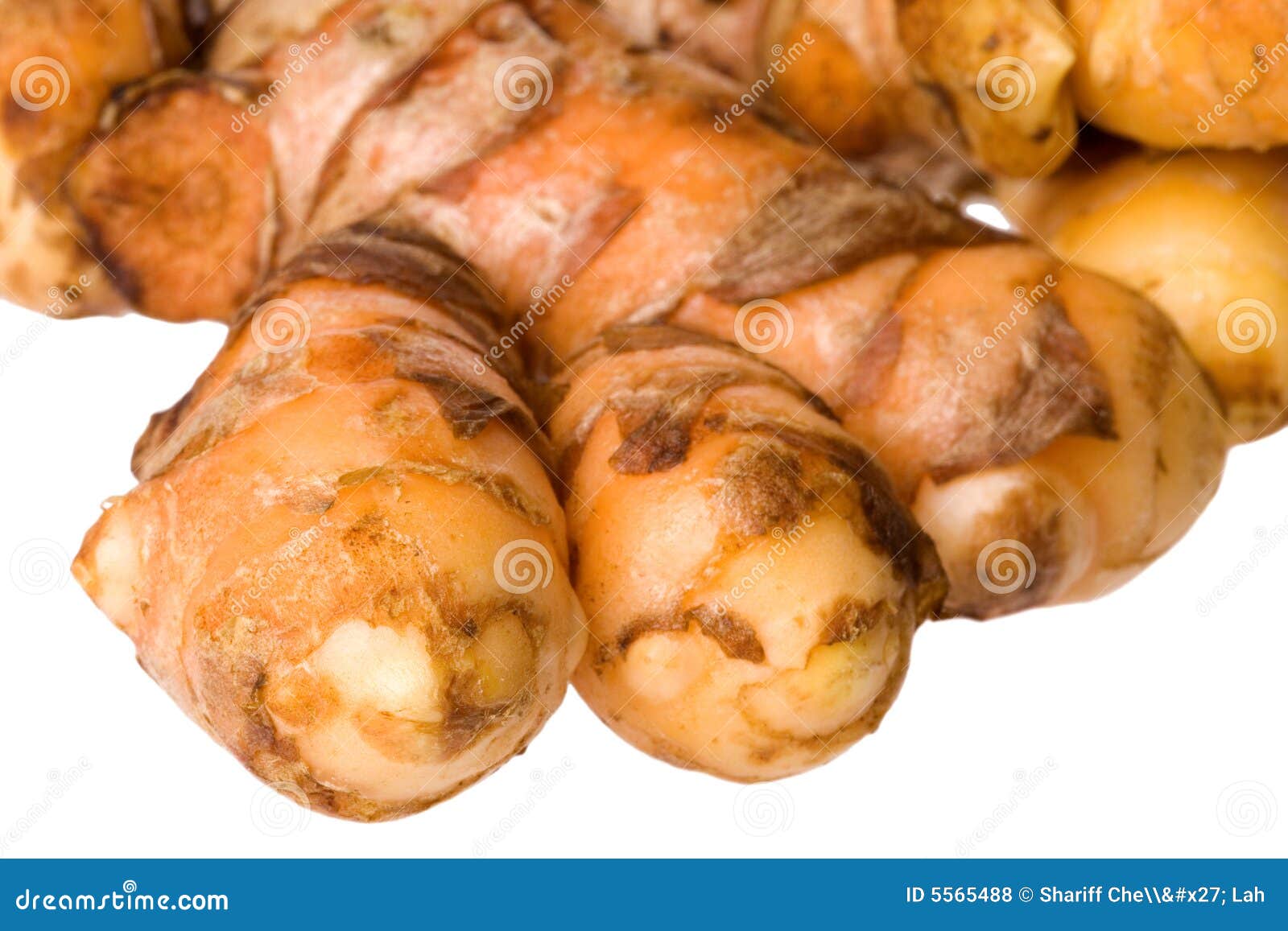 Tumeric Macro stock photo. Image of tropical, macro, cook - 5565488
