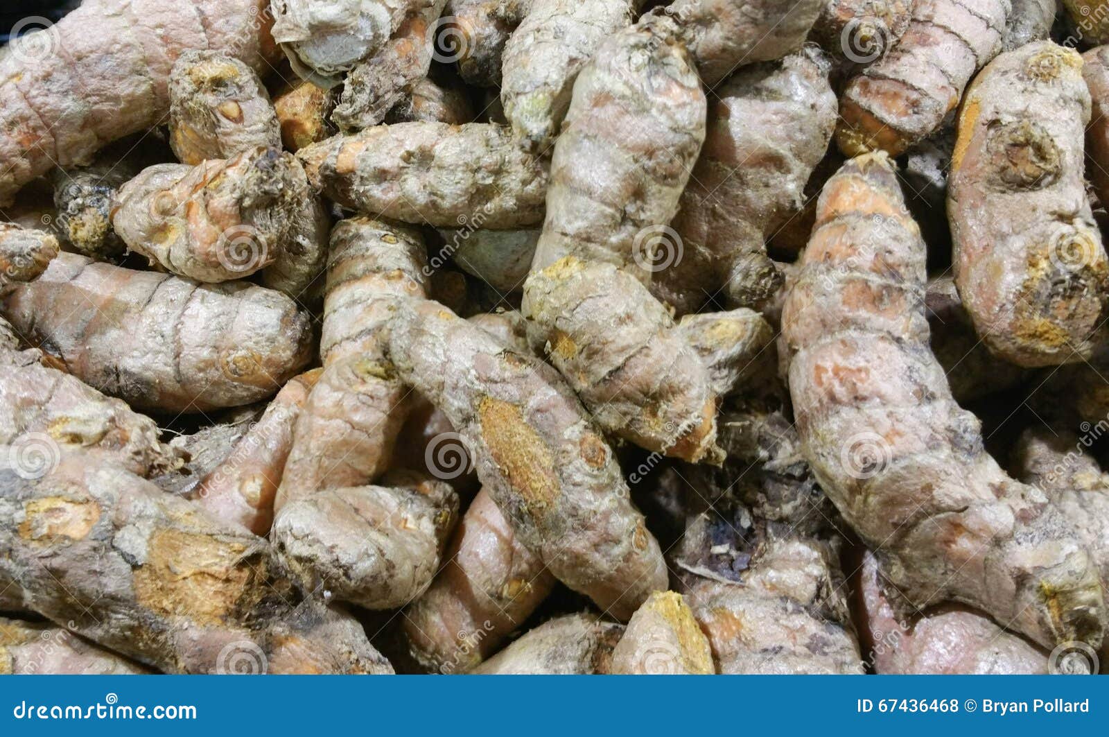 Tumeric Root stock photo. Image of produce, root, stand - 67436468