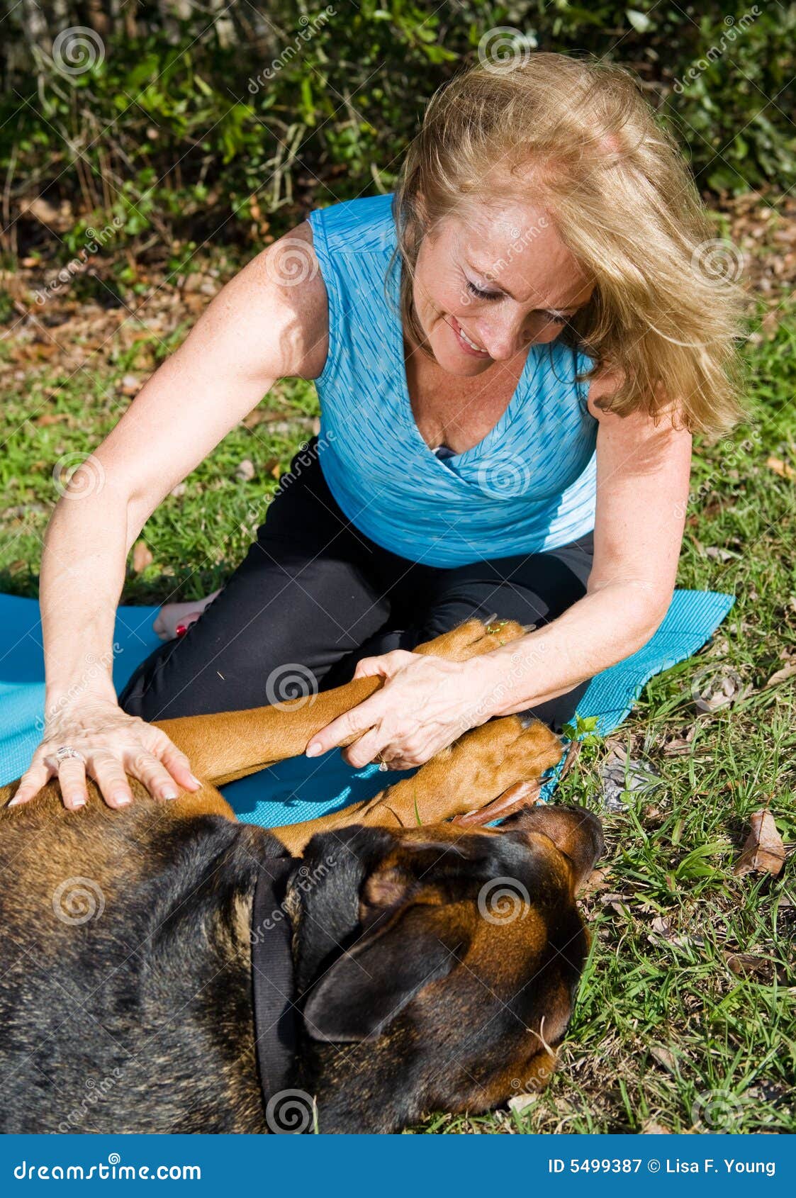Tummy Rub stock image. Image of canine, owner, person - 5499387