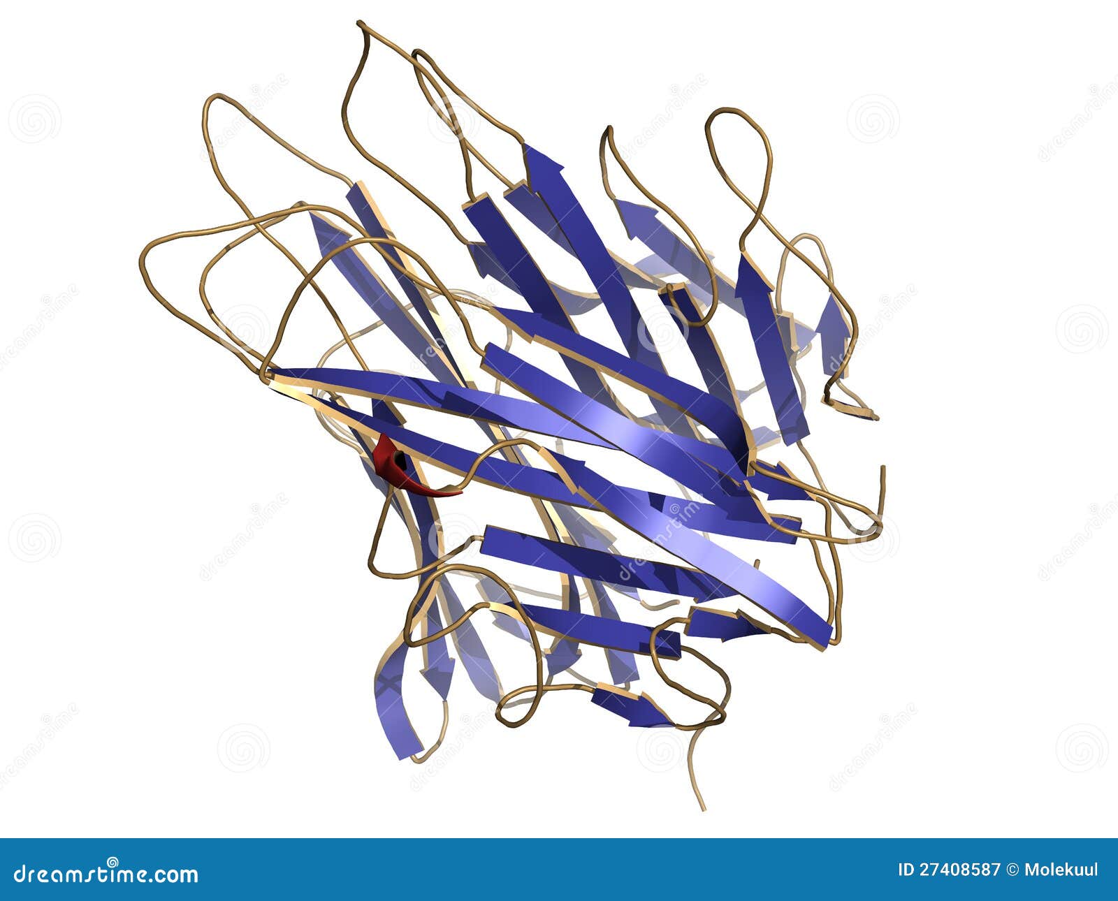 Tumornekrosefaktor (TNF, Cachexin, Cachectin) Stock Abbildung ...