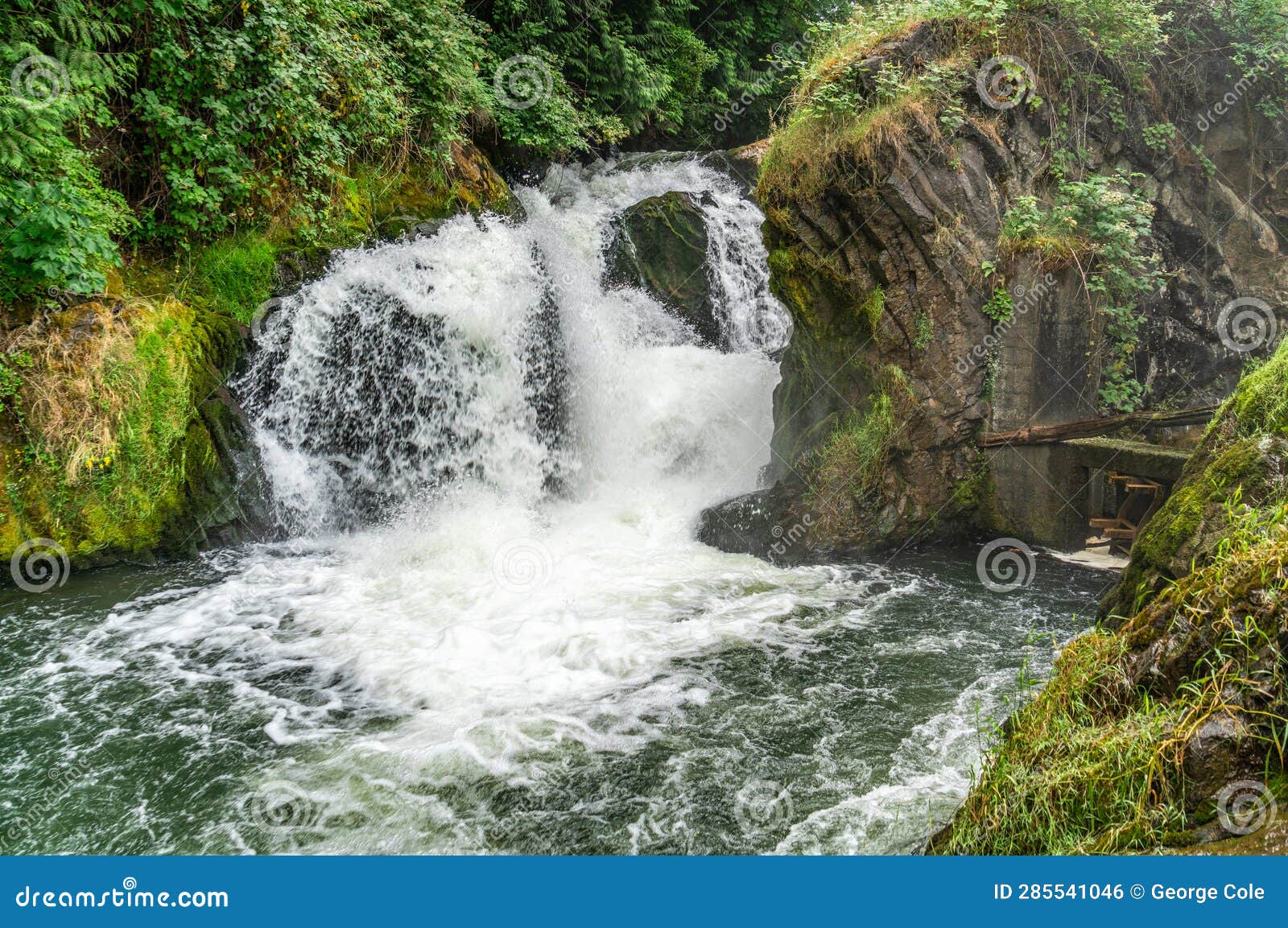 Tumwater Falls Lower 2 stock photo. Image of washington - 285541046