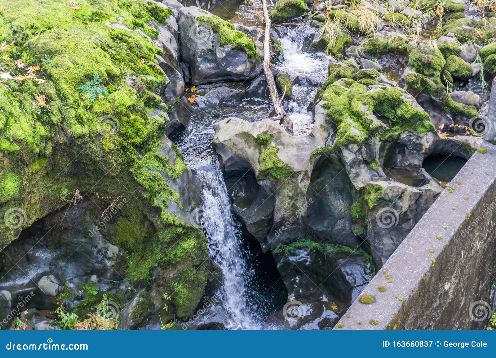 Tumwater Falls Park Flowing Water Stock Image - Image of stream, rock ...