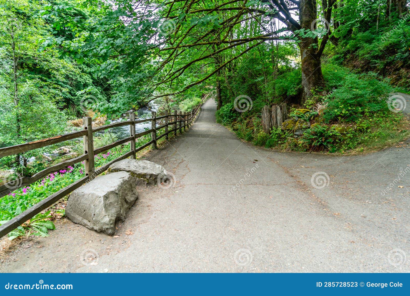 Tumwater Falls Park Path stock image. Image of falls - 285728523