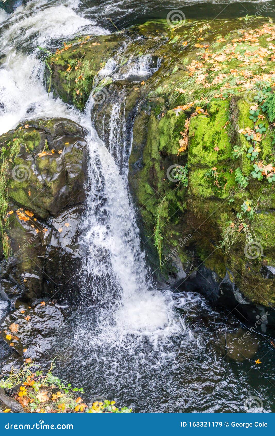 Tumwater Falls Park Sideways Stock Image - Image of outdoors, waterfall ...