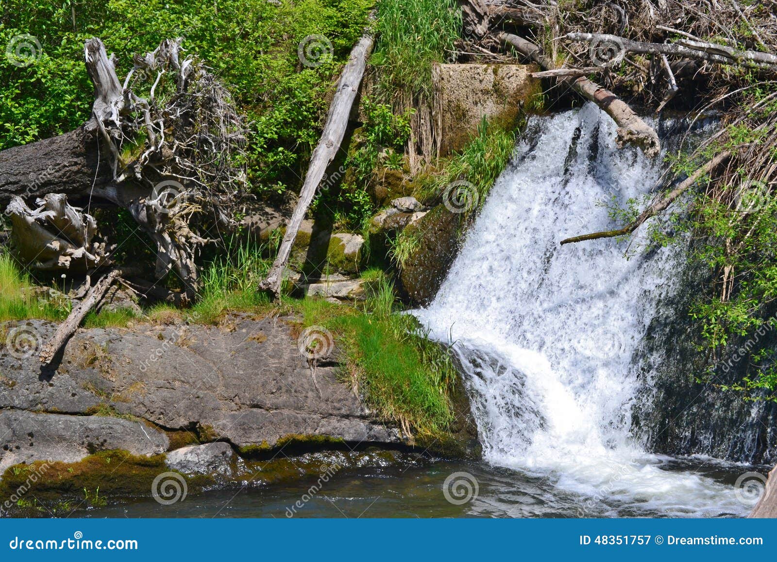 Tumwater Falls stock image. Image of logs, river, fallen - 48351757
